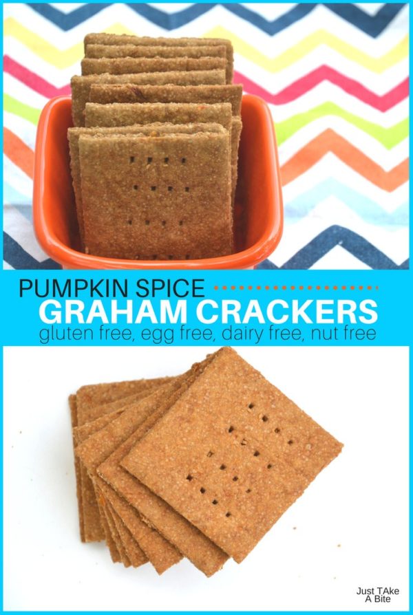 Gluten Free Dairy Free Pumpkin Spice Graham Crackers | Just Take A Bite
