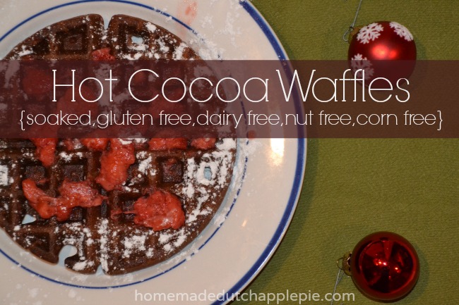 Hot Cocoa Waffles {soaked, gluten free, dairy free, nut free, corn free}