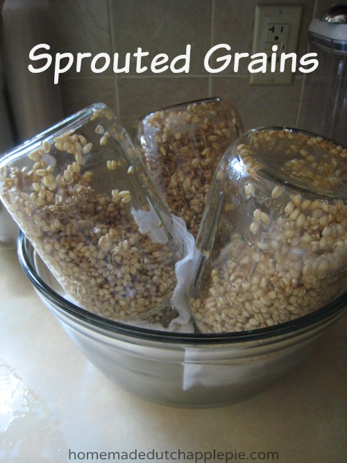 The Hows and Whys of Preparing Grains The Hows and Whys of Preparing Grains