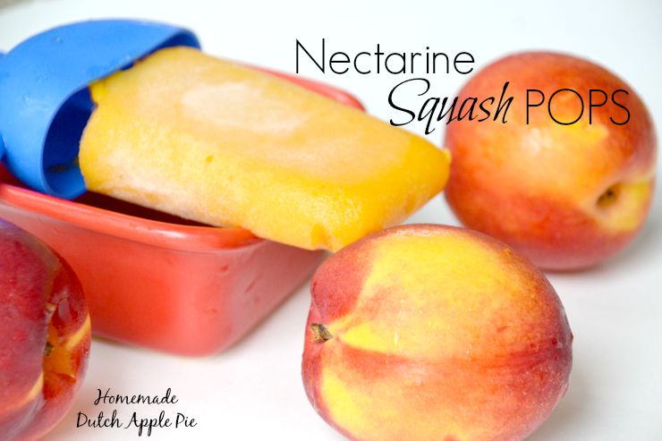 Nectarine Squash Pops: Sugar Free First Birthday Popsicles!!