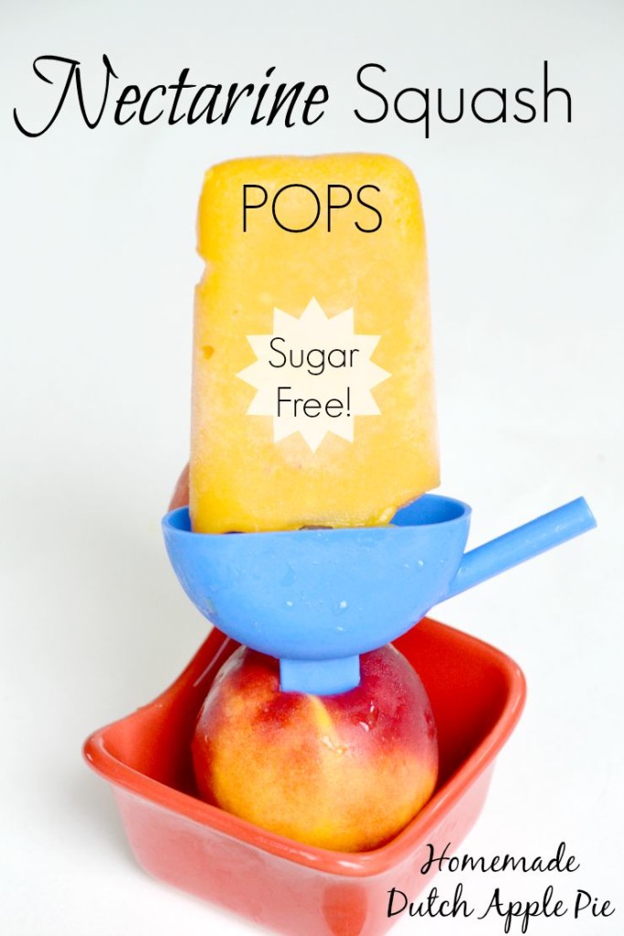 Nectarine Squash Pops: Sugar Free First Birthday Popsicles!!
