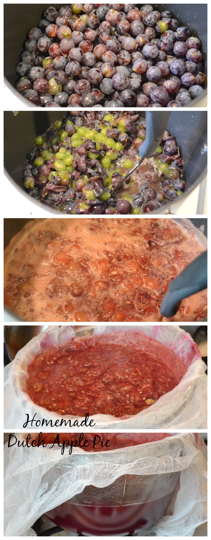 Homemade Grape Juice: From The Vine to Your Cup