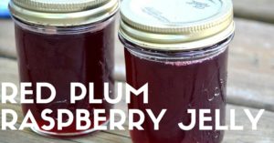 Red Plum Raspberry Jelly {No Added Pectin!} | Just Take A Bite