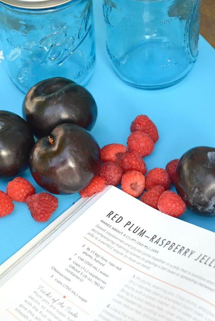 Red Plum Raspberry Jelly {No Added Pectin!} | Just Take A Bite