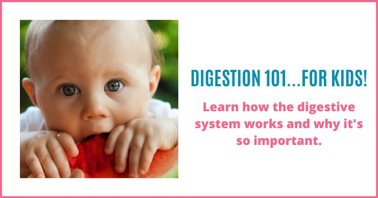 Digestion 101...for Kids! | Just Take A Bite